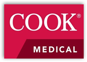 Cook Medical Releases Initial Results From Its STABLE Clinical Trial ...